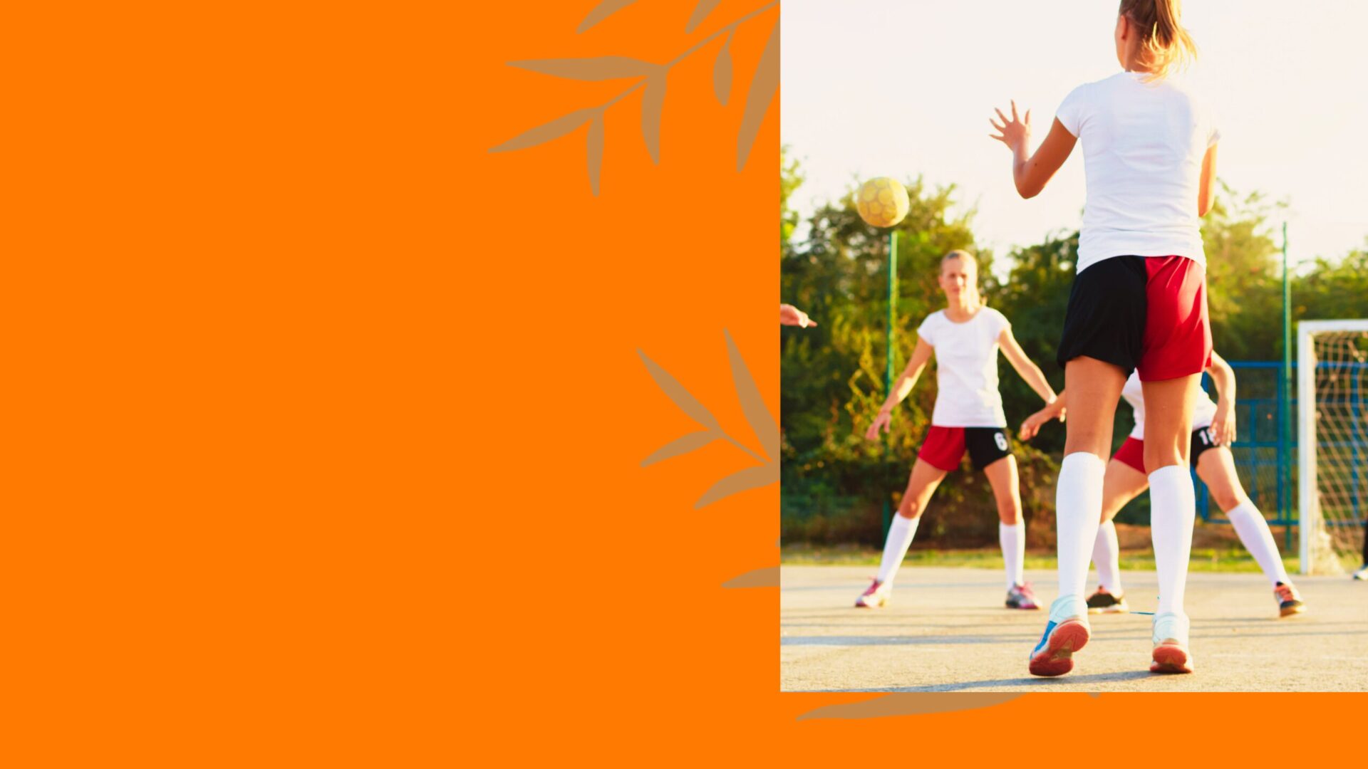 Chelsea Handball Club CIC - Goodnets